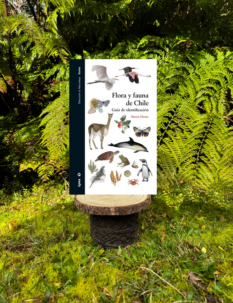 Flora y Fauna de Chile - Guía de identificación Sharon Chester – TepuStore